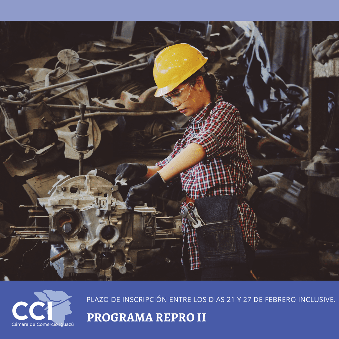 Programa REPRO II: se estableció el plazo de inscripción entre los días ...