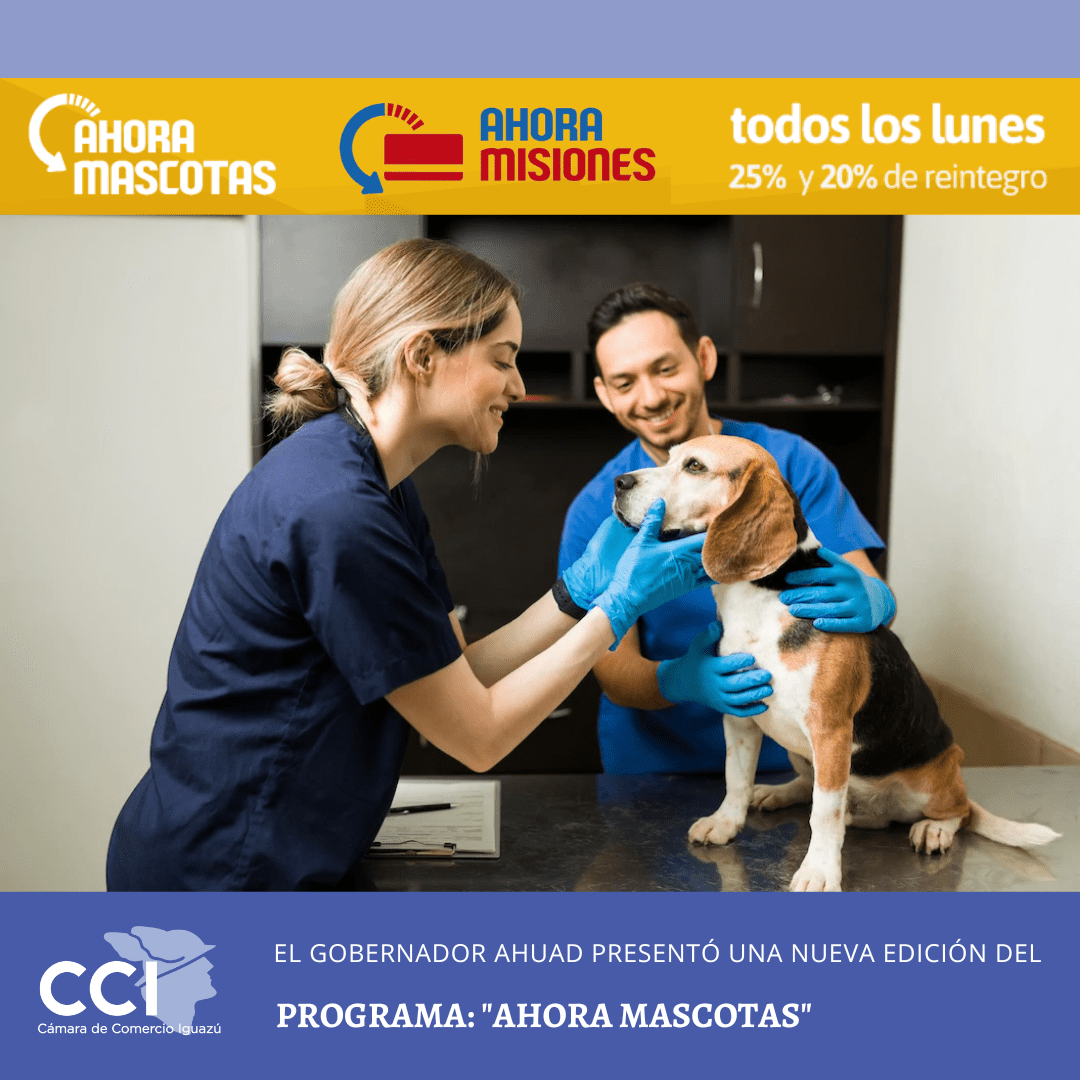 Nueva edición del Programa Ahora Mascotas. - CCI